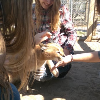 SINGLE VISION SANCTUARY - Updated November 2025 - 14 Photos - 15 ...