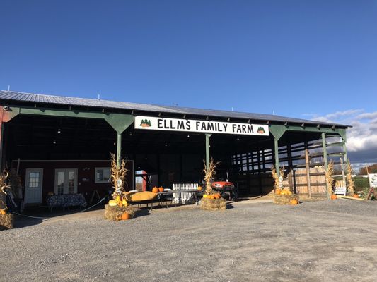 ELLMS FAMILY FARMS - Updated October 2024 - 27 Photos & 20 Reviews ...