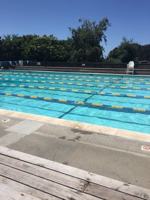 GOLDEN BEAR POOL - Updated December 2025 - 12 Reviews - 25 Sports Ln ...
