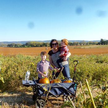 WAYSIDE FARM FUN - Updated October 2025 - 48 Photos & 16 Reviews - 5273 ...