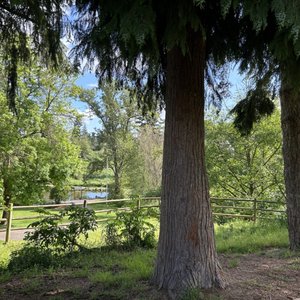 LAKE CONNOR PARK - Updated June 2025 - 18 Reviews - 14320 28th St NE ...