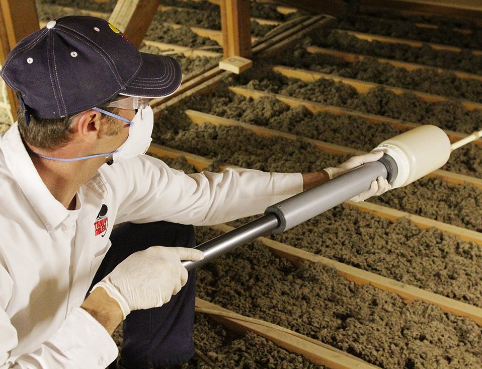 TRULY NOLEN PEST & TERMITE CONTROL - 33 Reviews - 701 E Blvd, Charlotte ...