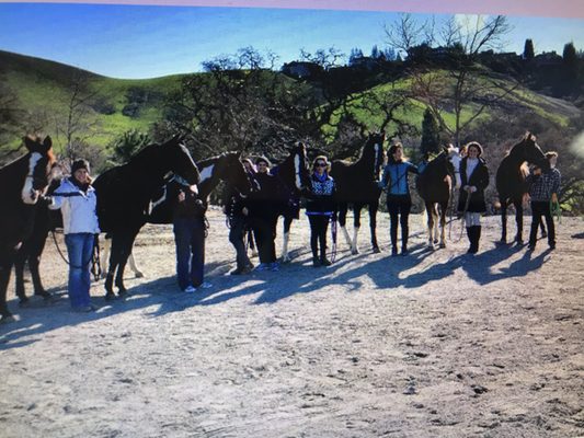 SUMMIT RANCH EQUINE CENTER - Updated January 2026 - 65 Photos & 13 ...