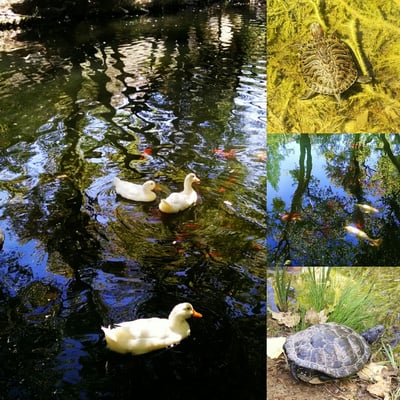 ST ANDREW’S ABBEY - 120 Photos & 24 Reviews - 31001 N Valyermo Rd ...