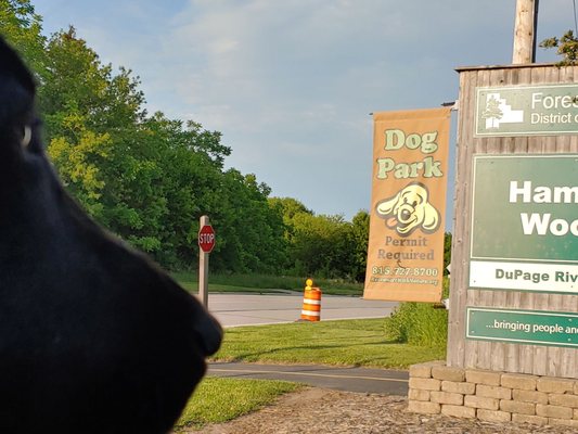 Hammel Woods Dog Park