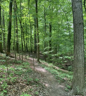 MILL STREAM RUN RESERVATION - Updated May 2025 - 30 Photos ...