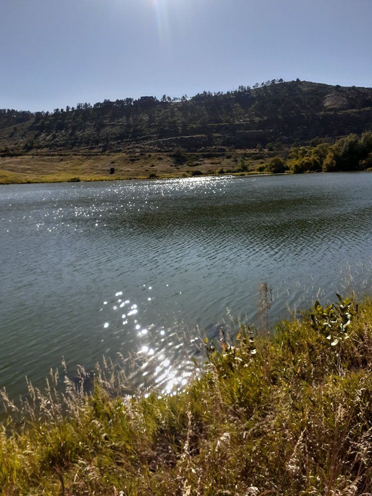 PINERIDGE NATURAL AREA - Updated September 2024 - 100 Photos - 1745 ...