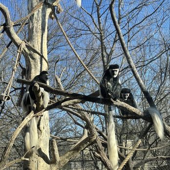 DICKERSON PARK ZOO - Updated March 2025 - 130 Photos & 48 Reviews ...