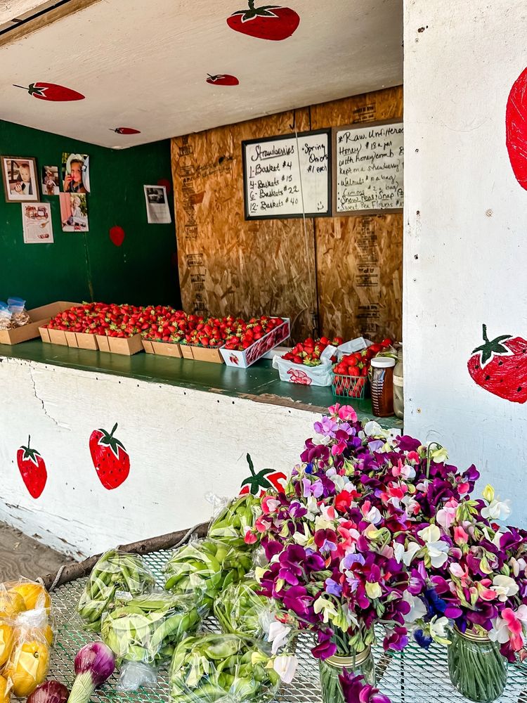 STRAWBERRY STAND - Updated October 2025 - 60 Photos & 47 Reviews ...