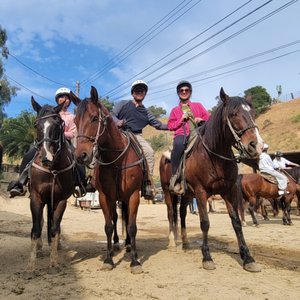 SUNSET RANCH HOLLYWOOD STABLES - 913 Photos & 738 Reviews - 3400 N ...