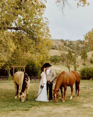 X DIAMOND RANCH - Updated October 2025 - 24 Photos & 16 Reviews - 300 ...