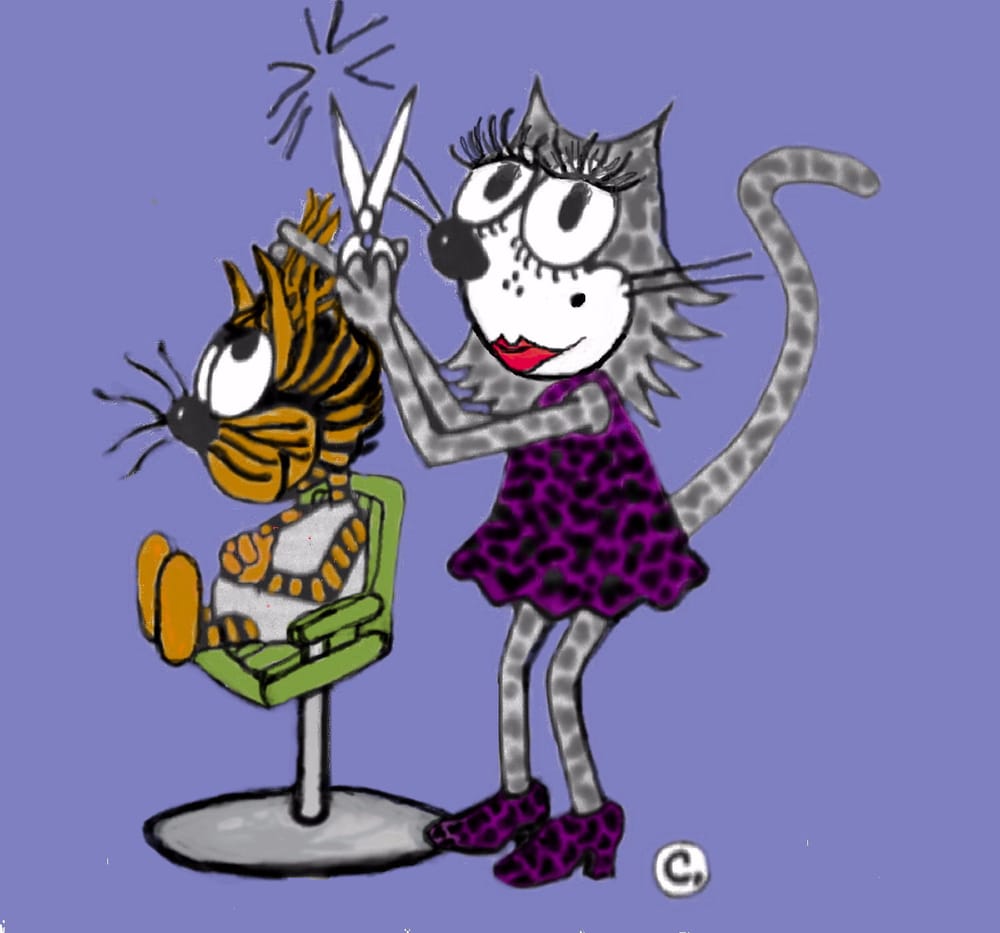 ALLEY CUTS - Updated July 2025 - 835 Main Ave, Durango, Colorado - Hair ...