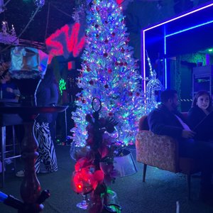 HIGHKEY RAINFOREST ROOFTOP - 140 Photos & 77 Reviews - 6 Platt St, New ...