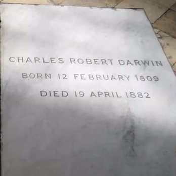 MCHENRY PUBLIC LIBRARY - Updated August 2025 - 22 Photos - 809 Front St ...