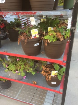 LOWE’S HOME IMPROVEMENT - Updated October 2025 - 84 Photos & 40 Reviews ...