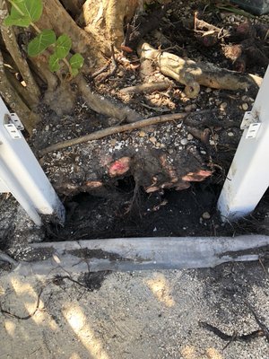 GATOR FENCING OF MANATEE - Updated October 2025 - 87 Photos - 4812 29th ...