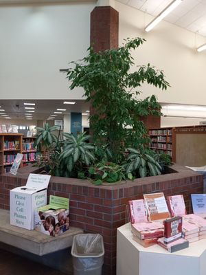 MILLER MEMORIAL CENTRAL LIBRARY - Updated October 2025 - 22 Photos ...