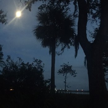 BLYTHE ISLAND REGIONAL PARK - Updated February 2025 - 35 Photos & 17 ...