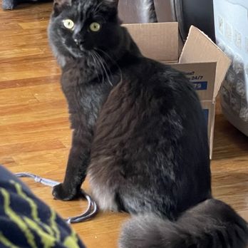 PASADENA HUMANE - Updated September 2025 - 496 Photos & 712 Reviews ...