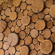 NAP’S GRILL - 161 Photos & 258 Reviews - 200 W Main St, Hamilton, MT - Yelp