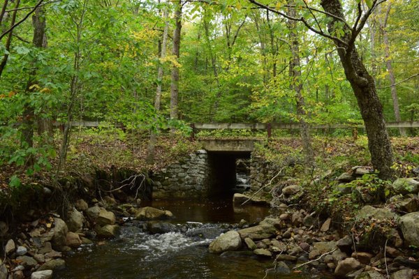 STOKES STATE FOREST - 93 Photos & 38 Reviews - Hiking - 1 Coursen Rd ...