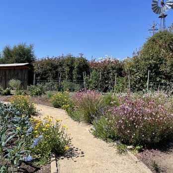 ROBLAR WINERY - Updated July 2024 - 661 Photos & 428 Reviews - 3010 ...