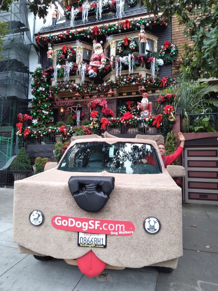 GODOG DOG WALKER - Request a Quote - San Francisco, California - Dog ...