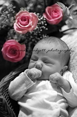 AMANDA PADGETT PHOTOGRAPHY - Updated January 2025 - Dale City, Virginia ...