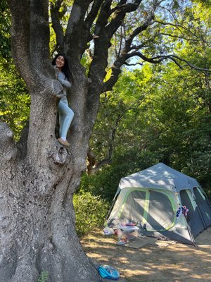 CASINI RANCH FAMILY CAMPGROUND - Updated May 2025 - 581 Photos & 606 ...