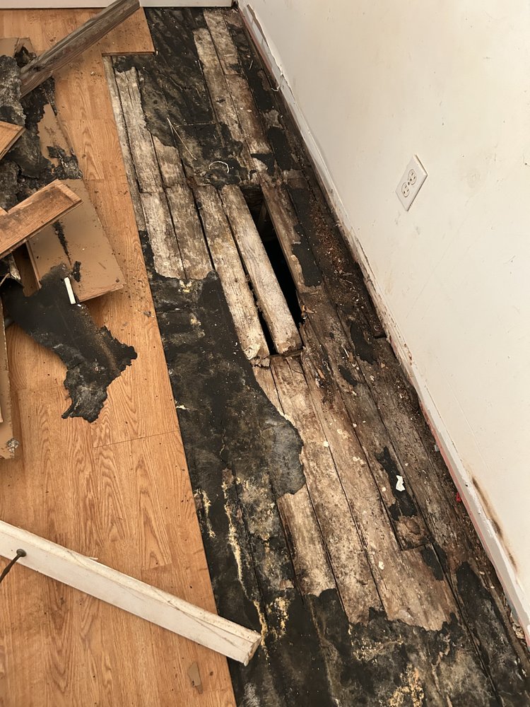 CARTER FIELD EXPRESS - Updated January 2025 - Request a Quote - 20 ...