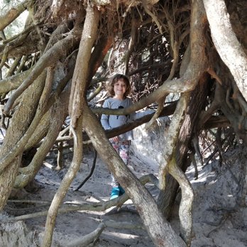 EDWARD MEDARD PARK - Updated September 2025 - 89 Photos & 38 Reviews ...