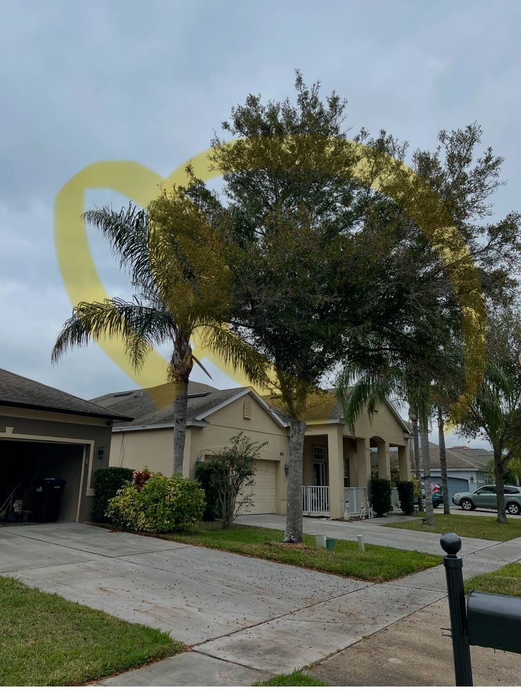 JOHN’S TREE SERVICE - Updated August 2025 - 23 Photos - Alafaya ...