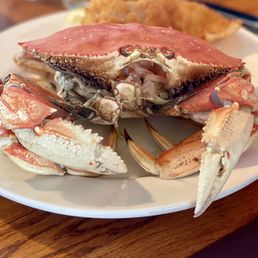 SANTA BARBARA SHELLFISH COMPANY - Updated December 2025 - 6828 Photos ...