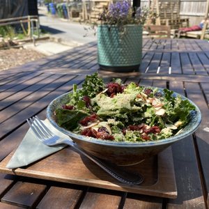 DOBRA TEA - 411 Photos & 278 Reviews - 78 N Lexington Ave, Asheville ...