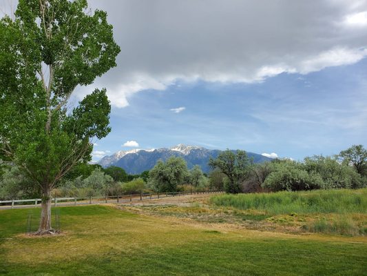 JORDAN RIVER TRAIL - Updated July 2024 - 15 Photos - Lehi, Utah ...