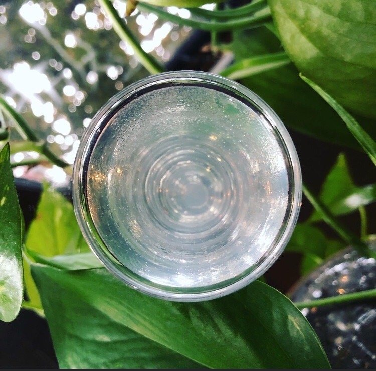 LUSH BAR - Updated October 2025 - 18 Photos & 10 Reviews - 2231 2nd Ave ...