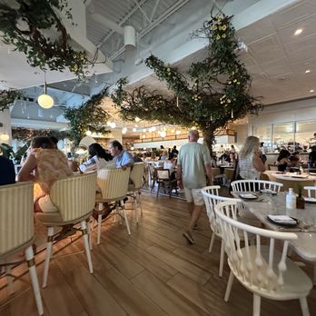 MOTEK - BOCA RATON - Updated August 2025 - 345 Photos & 122 Reviews ...