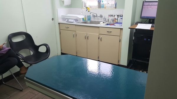 ROGERS ANIMAL HOSPITAL - Updated December 2025 - 20 Reviews - 3170 ...