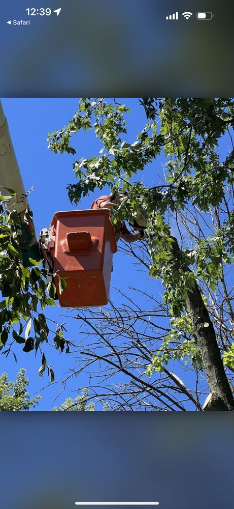 LEWIS & BROS - Updated September 2024 - Request a Quote - 15 Photos ...