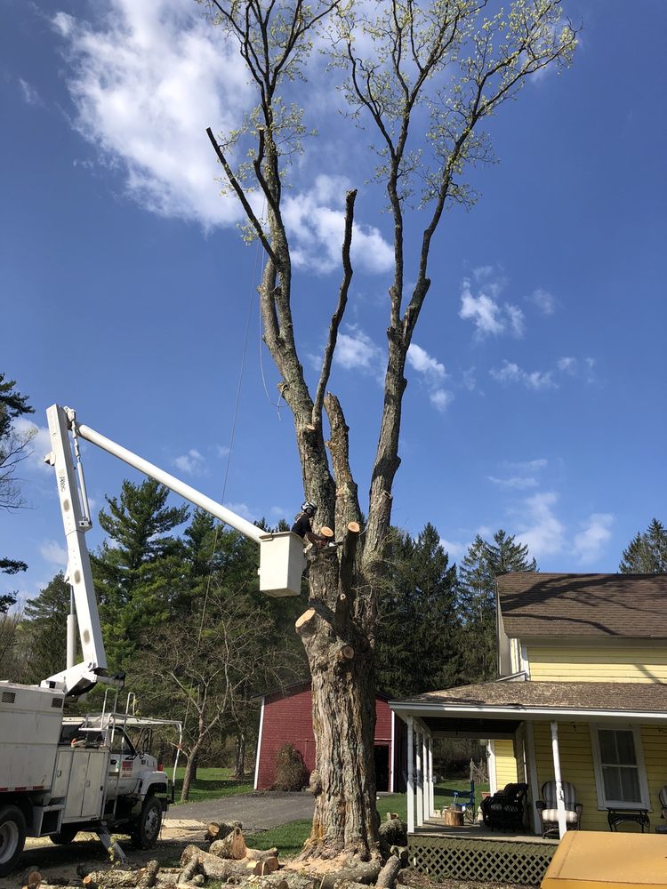 BUDGET TREE SVCE - Updated September 2025 - 6357 Newport Rd, Warners ...