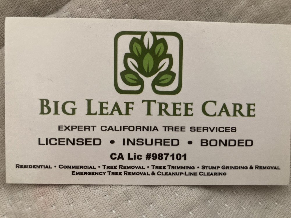 BIG LEAF TREE CARE - Updated January 2025 - 35 Photos & 32 Reviews - 9668 Miliken Ave, Rancho ...