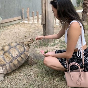 HOUSTON INTERACTIVE AQUARIUM AND ANIMAL ADVENTURE - Updated May 2024 ...