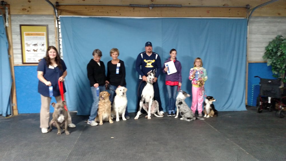 ATTABOY DOG TRAINING - Updated October 2025 - 8377 Farley Rd, Pinckney ...