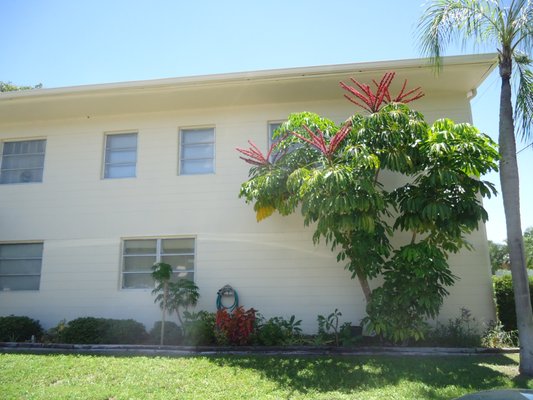 ASSOCIA | GULF COAST | ST. PETERSBURG - Updated August 2025 - 10 Photos ...