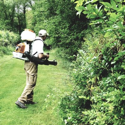 WEIR VILLAGE PEST CONTROL - Updated December 2025 - Taunton ...