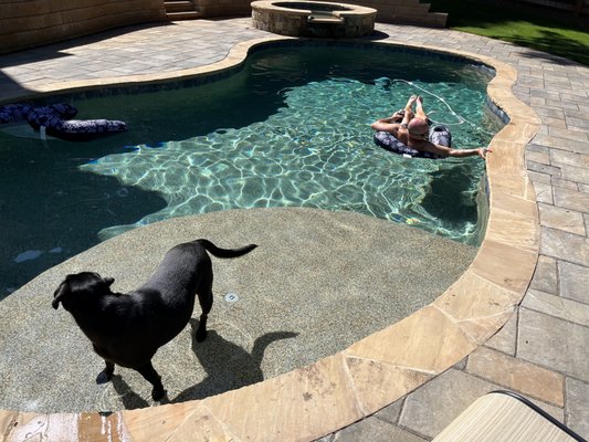 YUMMY POOLS - Updated October 2025 - 10 Photos & 43 Reviews - Cumming ...