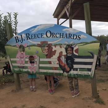 BJ REECE ORCHARDS - Updated January 2025 - 453 Photos & 194 Reviews ...