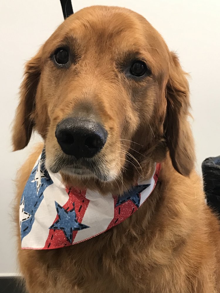 THE FLYING FUR - Updated October 2025 - 2639 300 E, Anderson, Indiana ...