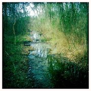 BIVENS ARM NATURE - 31 Photos - Parks - 3650 S Main St, Gainesville, FL ...