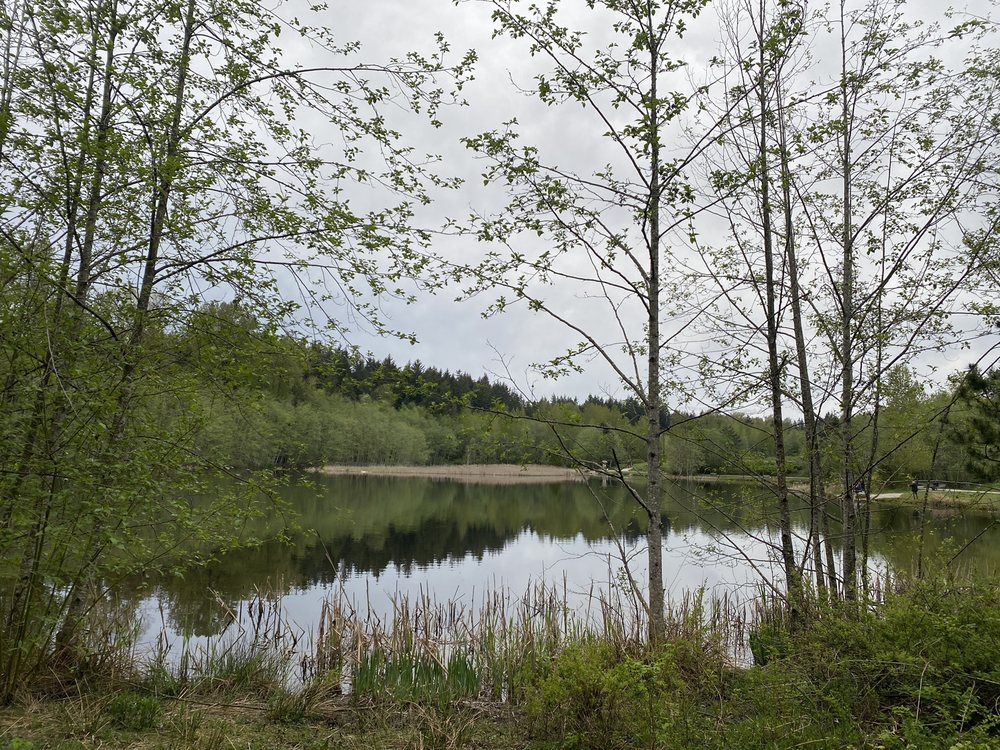 GREEN TIMBERS URBAN FOREST - 10 Photos - 14600 100 Ave, Surrey, British ...